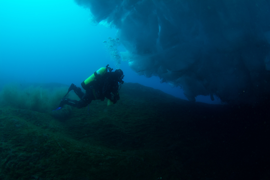 Colaboración regional intercambió conocimiento de buceo científico en ...